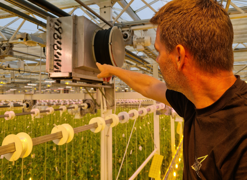 Hortiherttua panostaa energiatehokkuuteen - Novarbo
