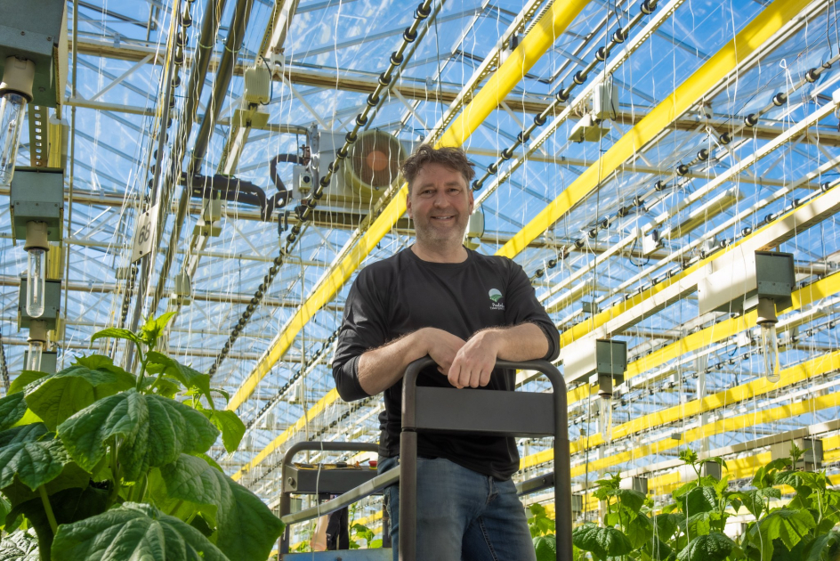 Juntin puutarhalla viljellään energiatehokkaasti LTO-järjestelmän ...