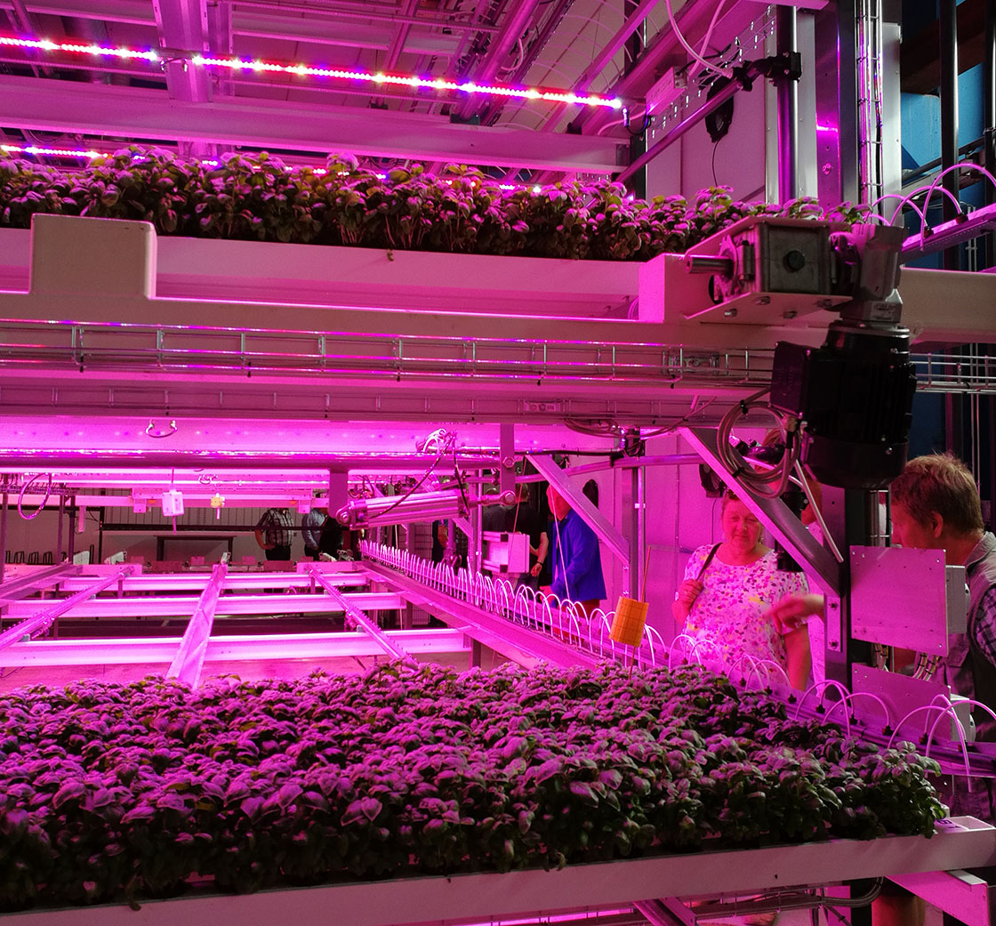 Novarbon Vertical Farming -järjestelmän esittely - Novarbo